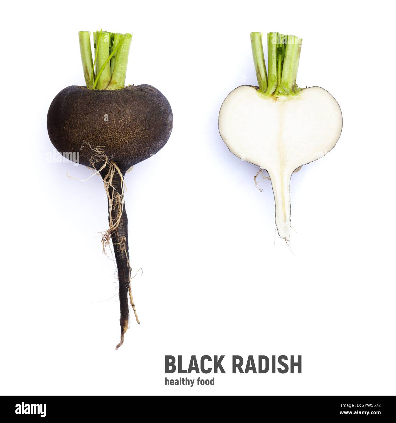 Half radish isolated on hi-res stock photography and images - Alamy