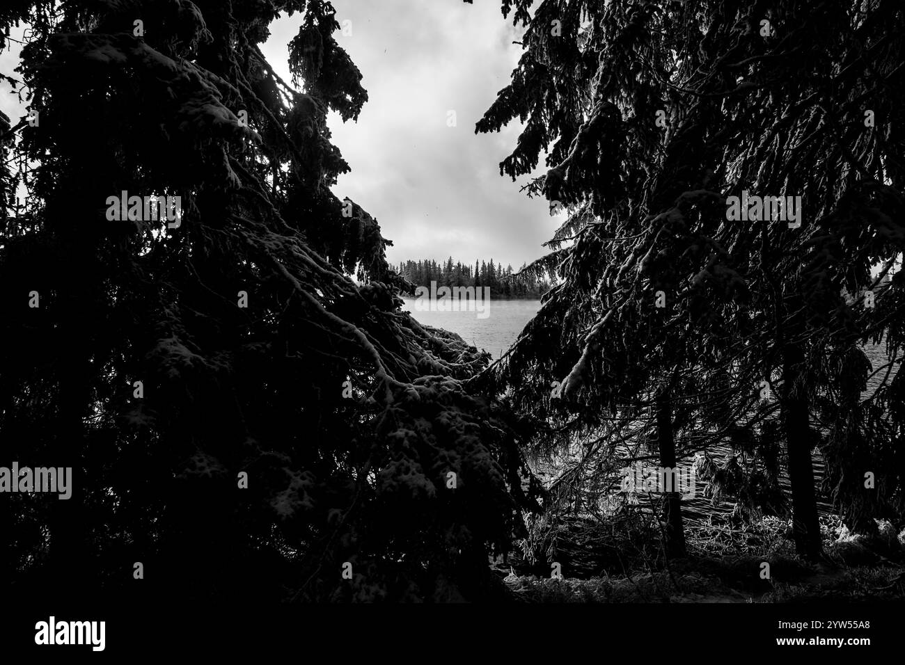 Dramatic image Black and White Stock Photos & Images - Alamy