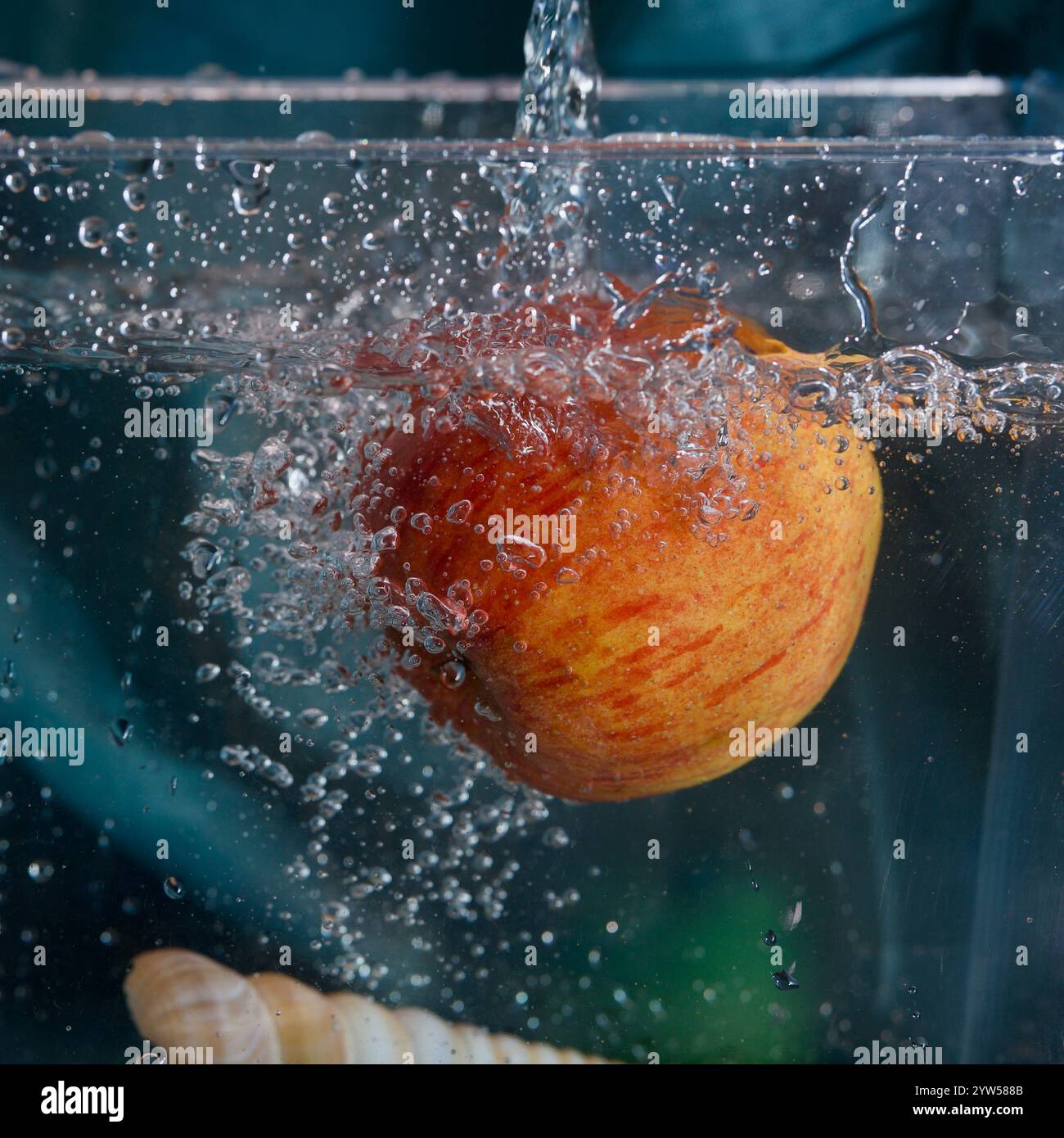 Aquarium under water hi-res stock photography and images - Alamy