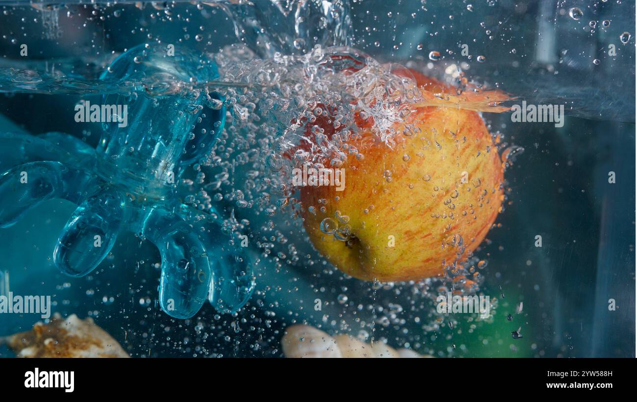 Aquarium under the water hi-res stock photography and images - Alamy