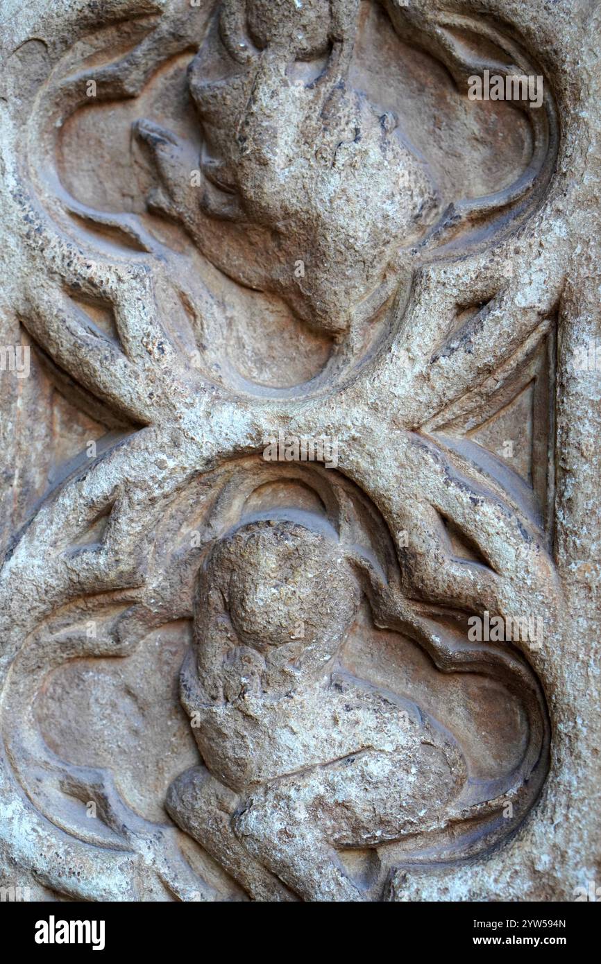 vertical background of natural colors, with stone texture in relief of ...