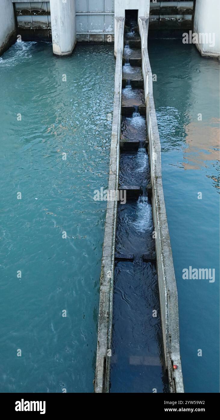 Protein hunting hi-res stock photography and images - Alamy