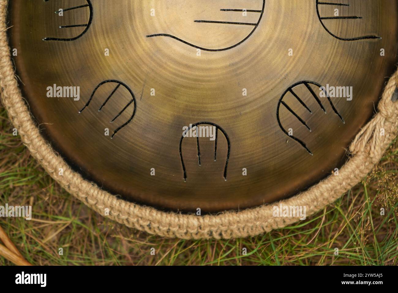 A musical handpan lies on a grassy forest floor, with sticks lying ...