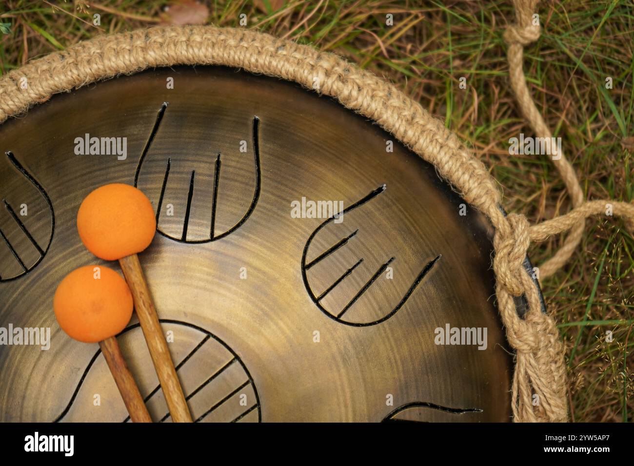 A handpan lies on the ground among the forest grass along with sticks ...