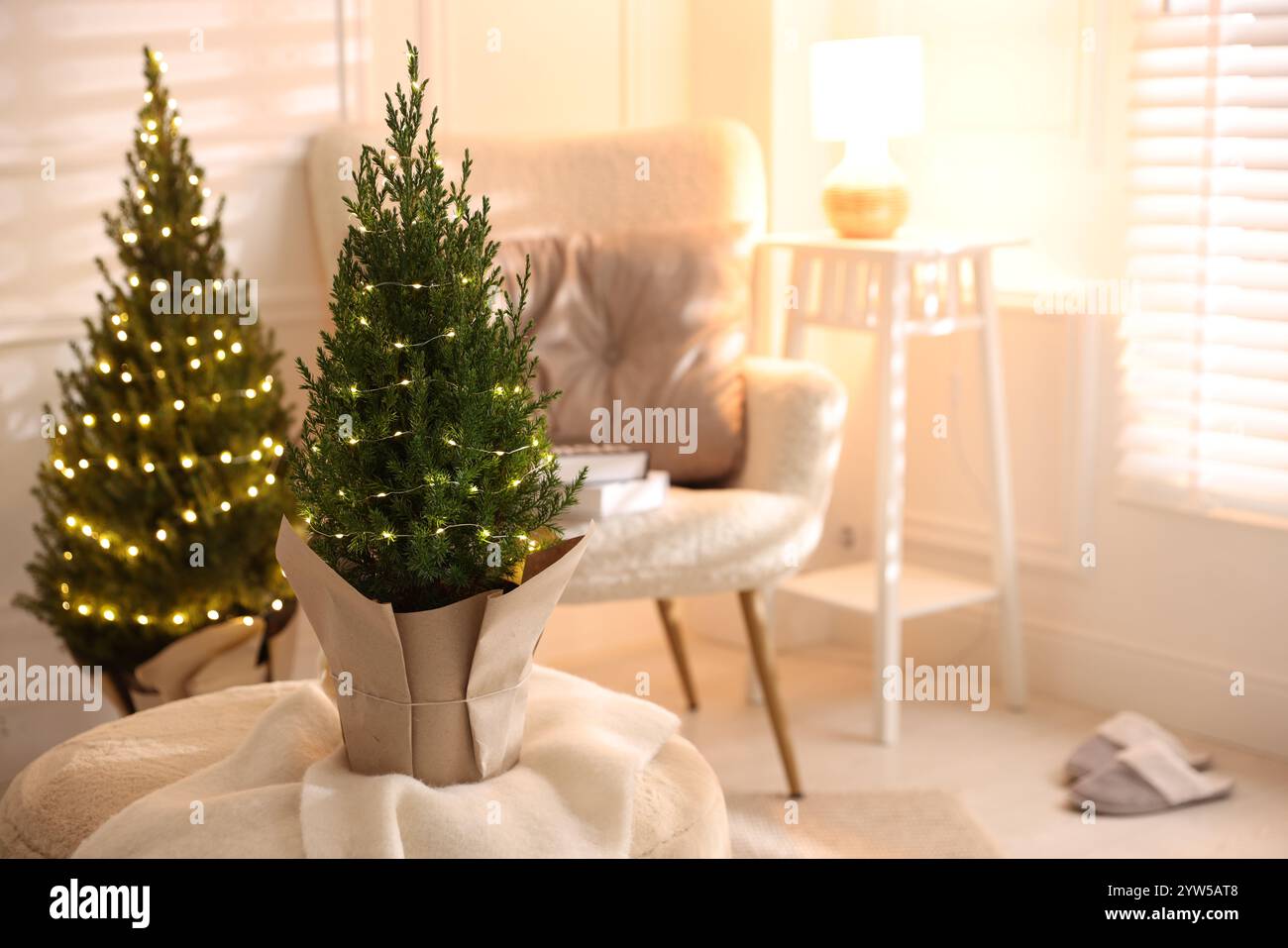Small spruce trees decorated with Christmas lights indoors Stock Photo ...