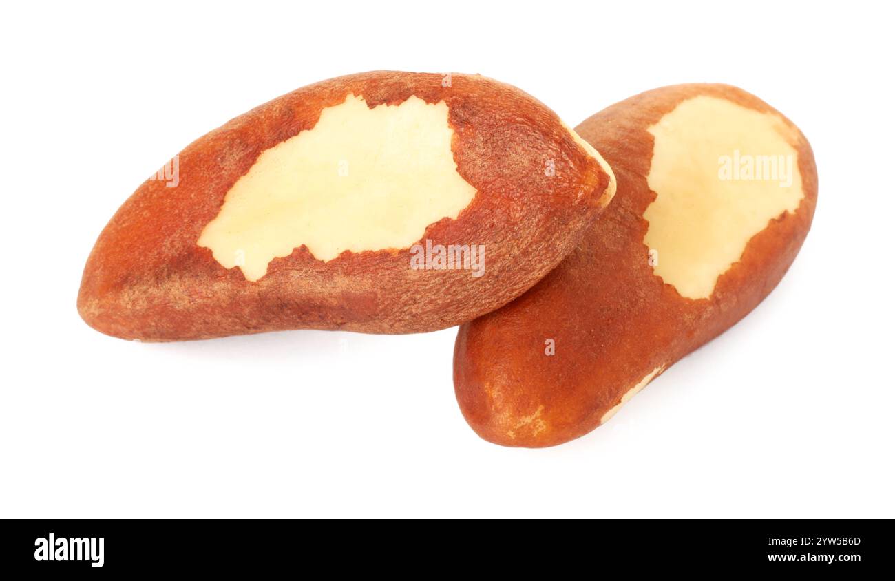 Two tasty Brazil nuts isolated on white Stock Photo - Alamy