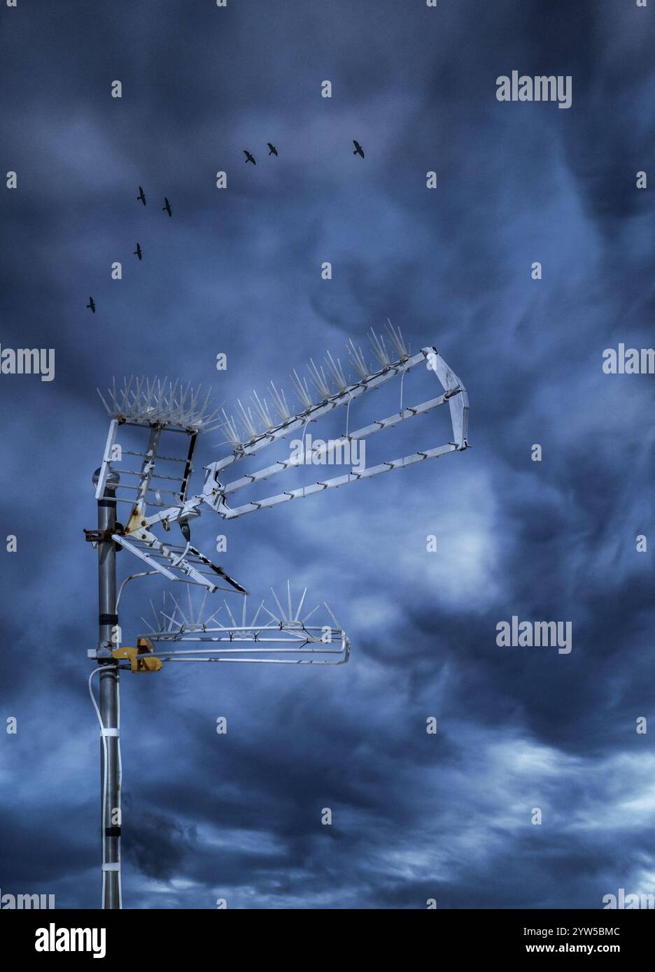 Anti bird birds spikes hi-res stock photography and images - Alamy