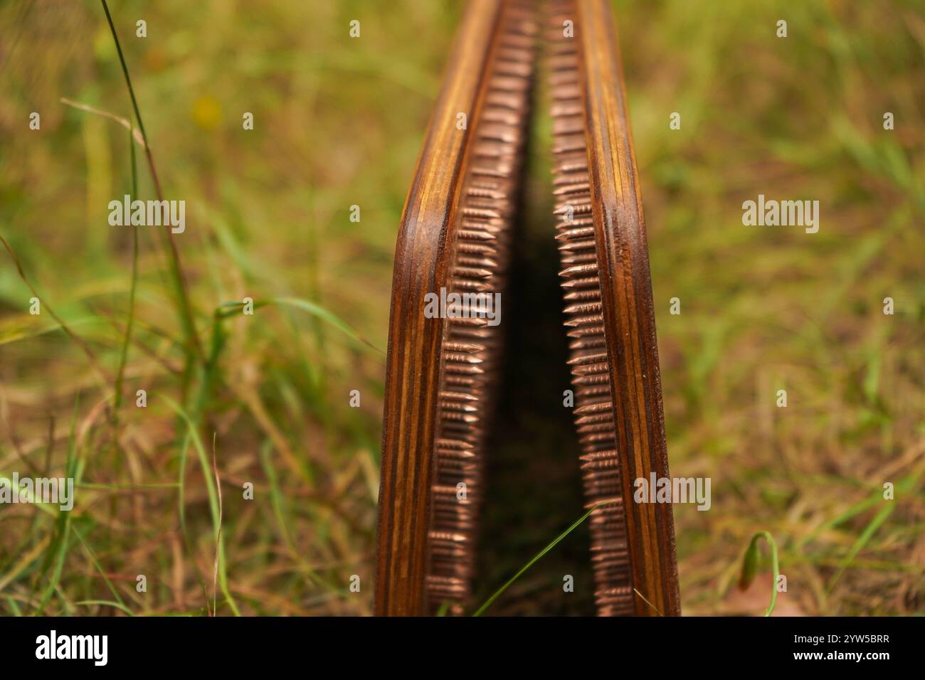 A wooden Sadhu board with sharp nails rests on the ground, surrounded ...