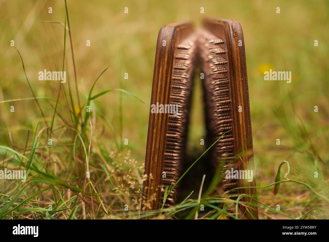 A wooden Sadhu board with sharp nails rests on the ground, surrounded ...