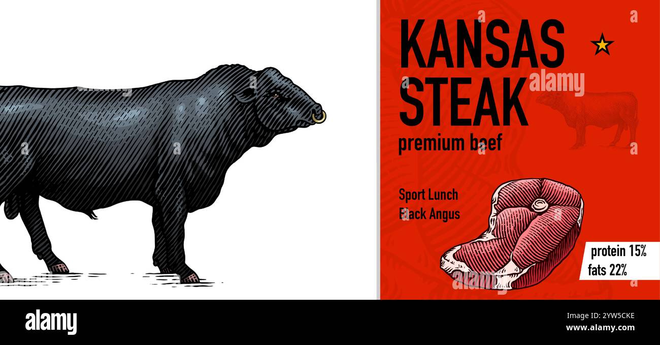 Sirloin steak banner in Vintage style. Hand drawn Cow poster. Farm ...