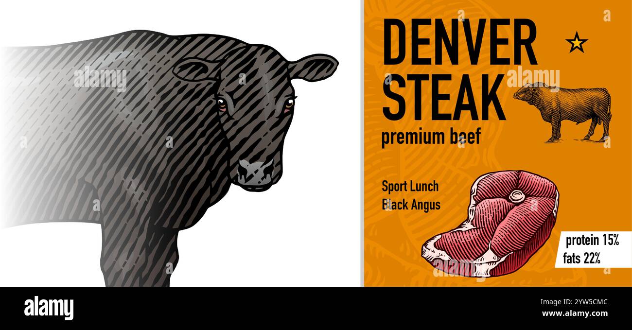 Sirloin steak banner in Vintage style. Hand drawn Cow poster. Farm ...