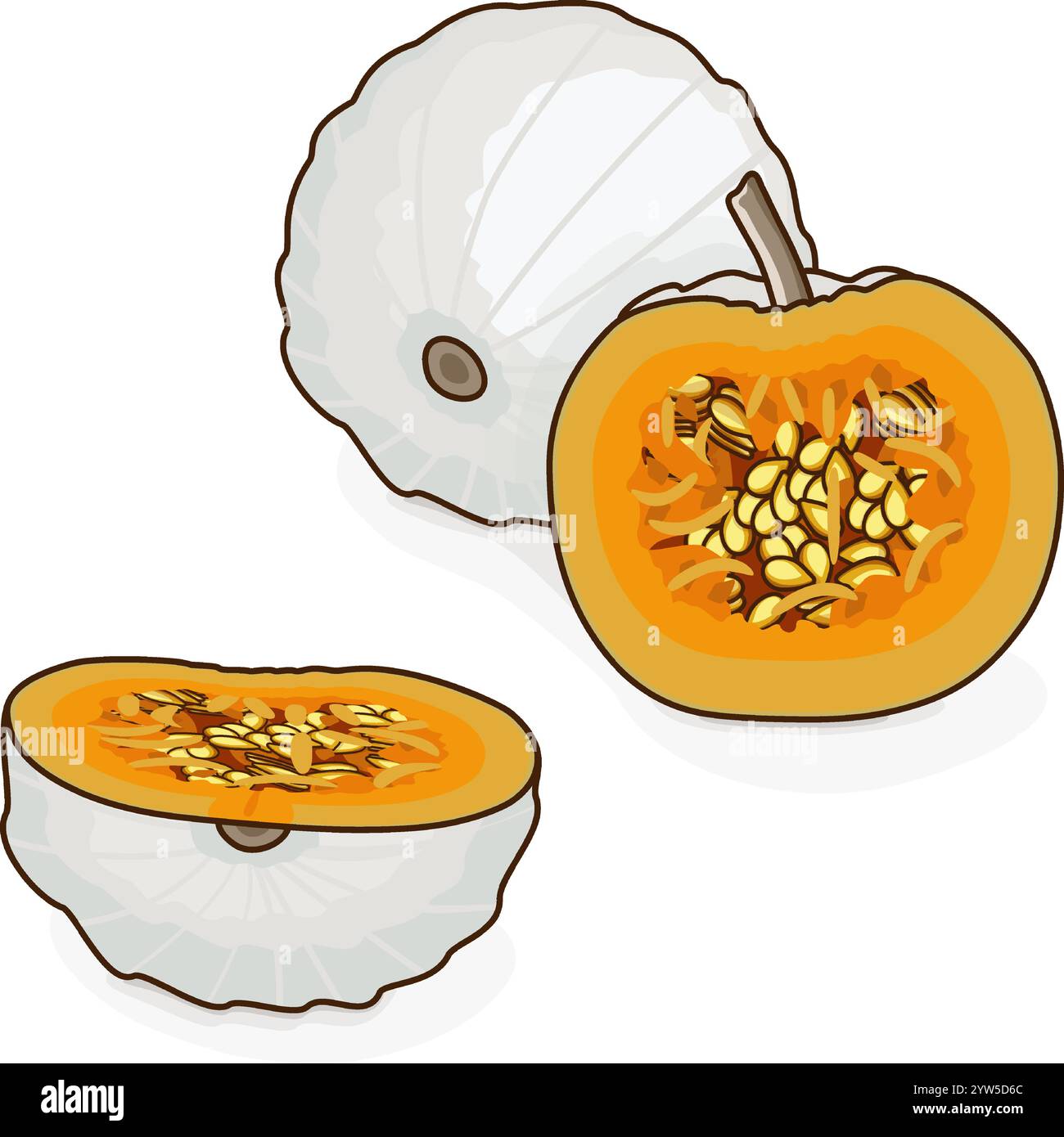 Whole and chopped Casper pumpkin or Lumina Pumpkin. Winter squash ...