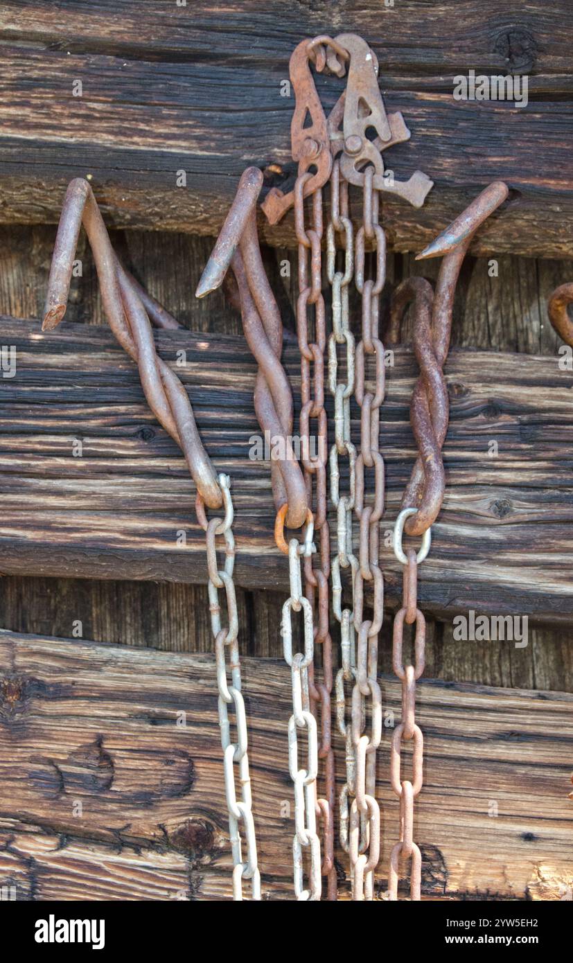 Some old metal chains and traps hang on the exterior wall of a log ...