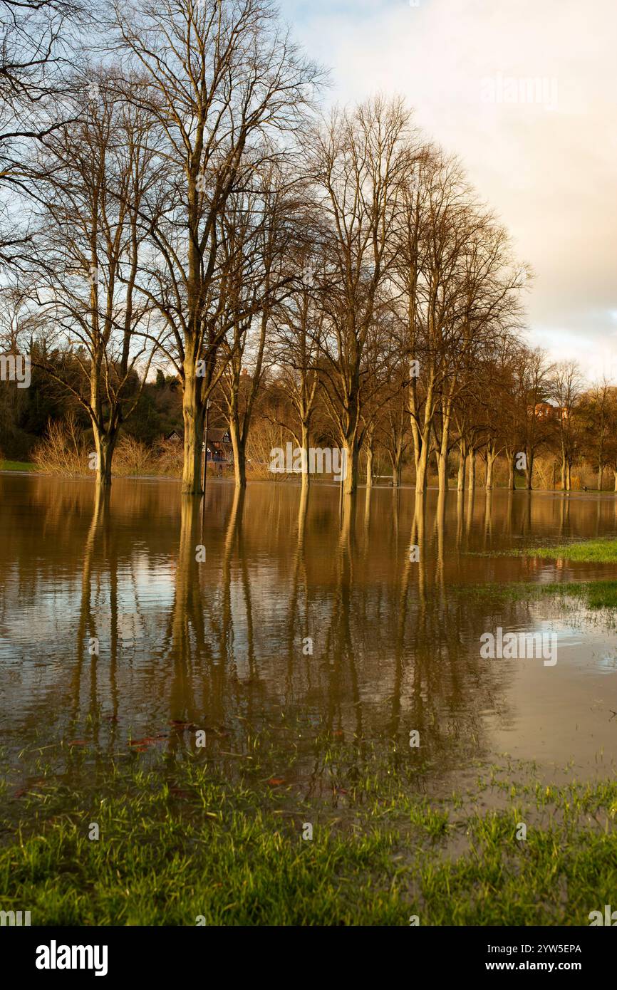 River Severn floods in The Quarry, Shrewsbury, Shropshire, flooding ...
