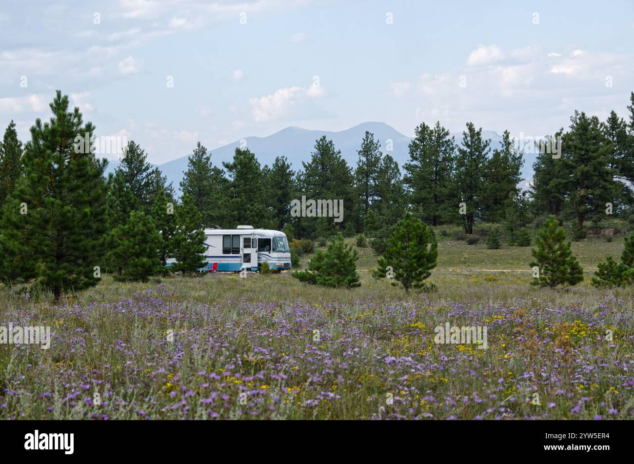 A large Class A motorhome is boondocking in the national forest ...
