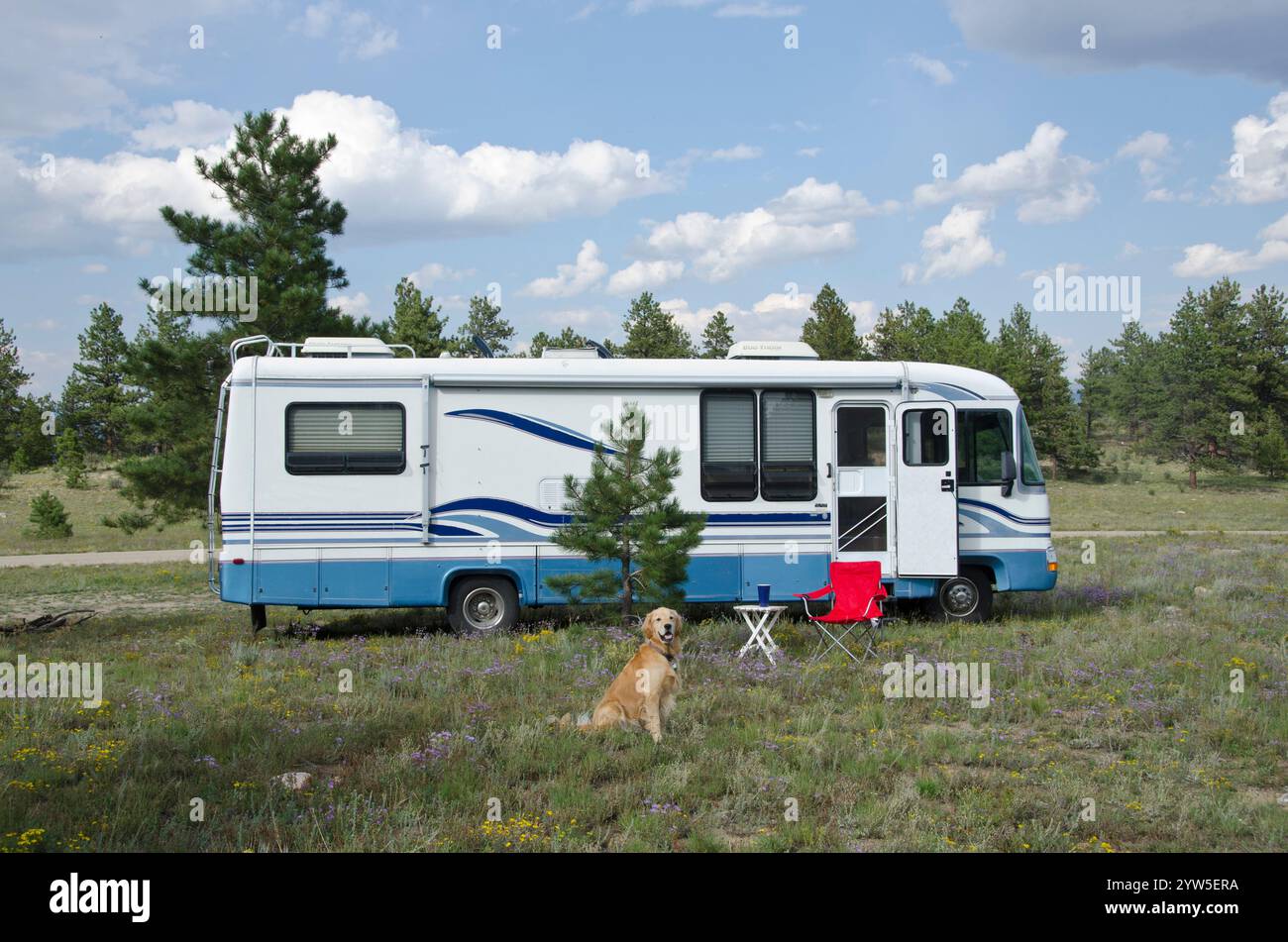 A Golden Retriever dog sits in front of his camper - a Class A ...