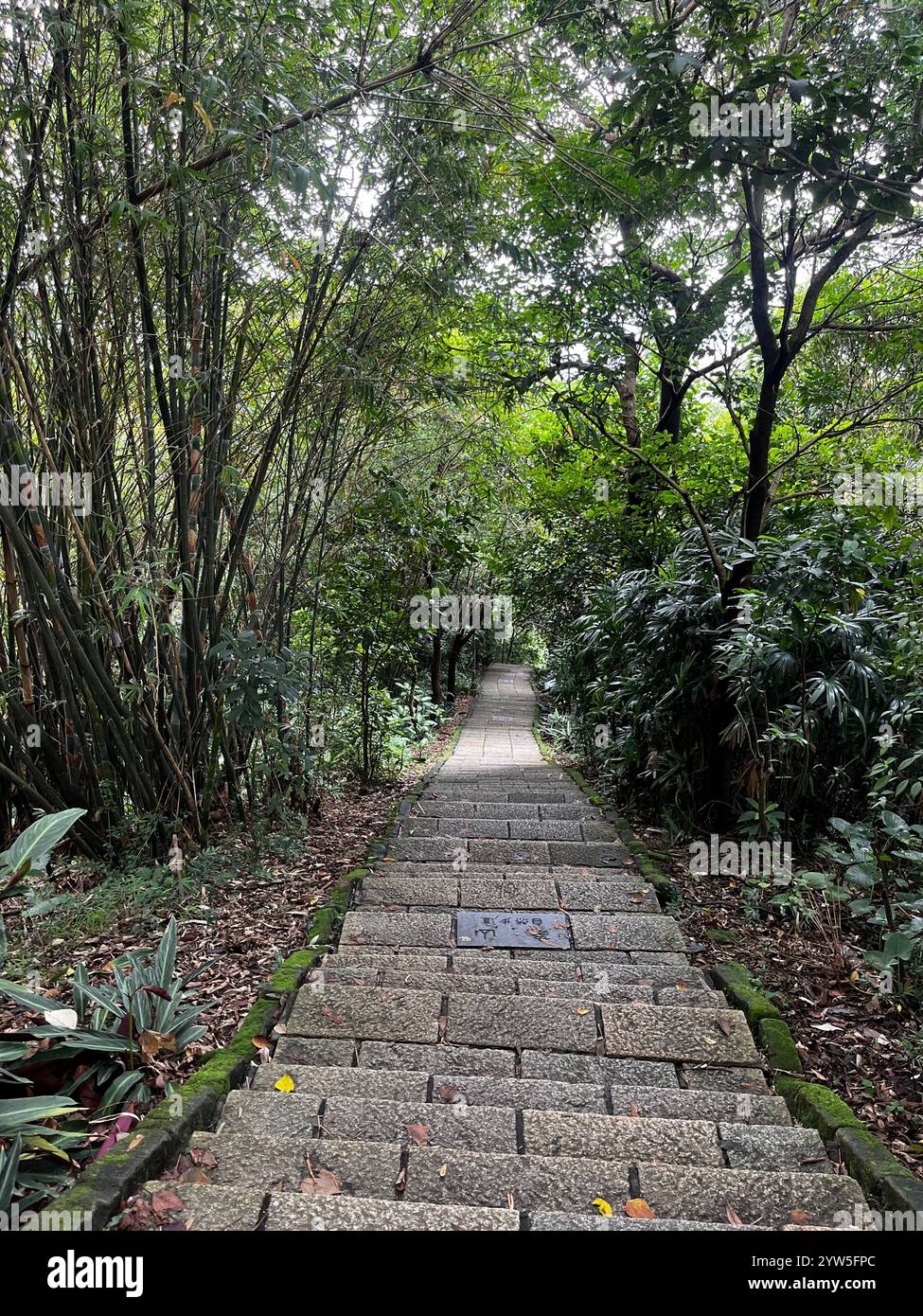 Elephant Mountain Viewpoint trail, Taipei Taiwan Stock Photo - Alamy