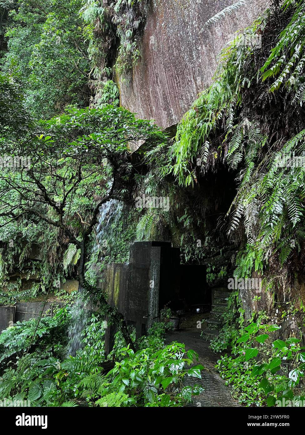 Elephant Mountain Viewpoint trail, Taipei Taiwan Stock Photo - Alamy