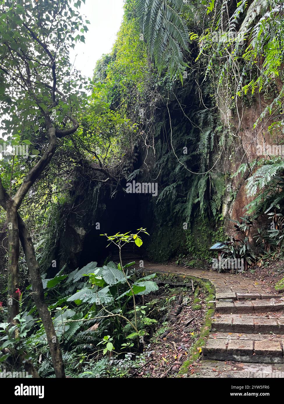 Elephant Mountain Viewpoint trail, Taipei Taiwan Stock Photo - Alamy
