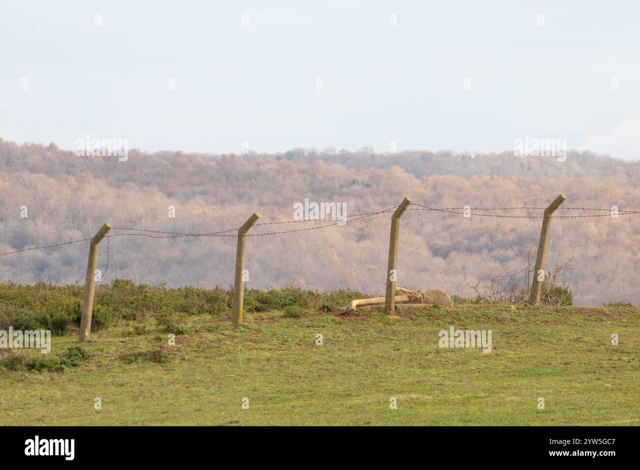 Garden fence idea hi-res stock photography and images - Alamy