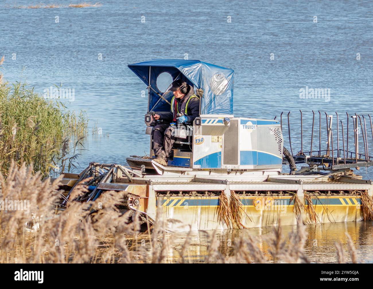 Reed cutting with amphibious machine Stock Photo - Alamy