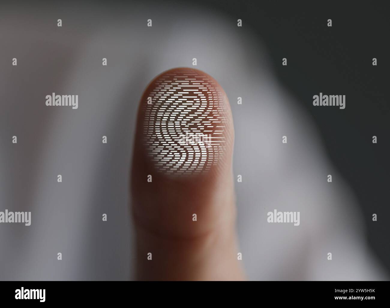Man pressing finger to surface showing friction ridges pattern, closeup ...
