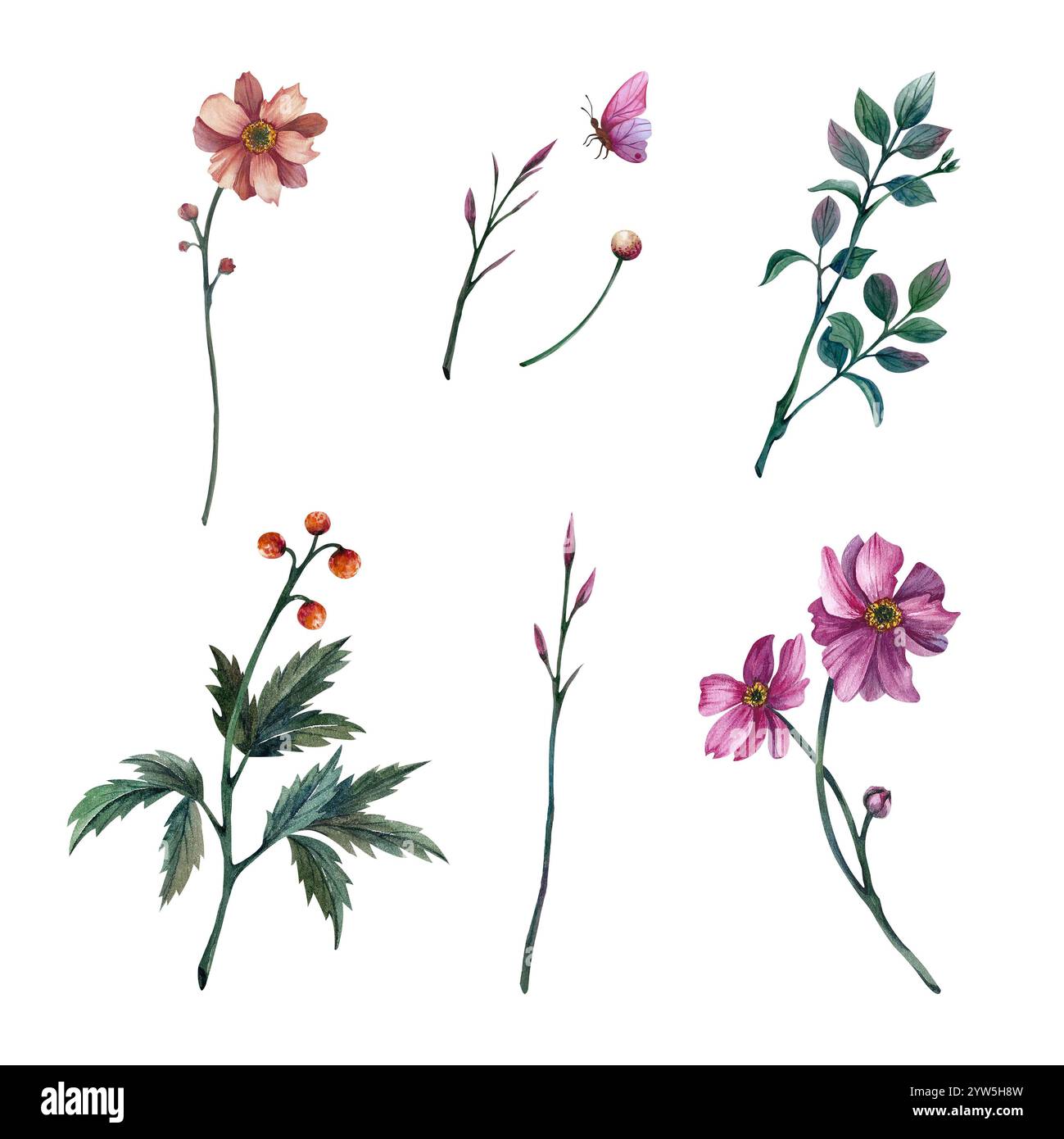 A set with wild flowers. Hand-drawn watercolor illustration with ...