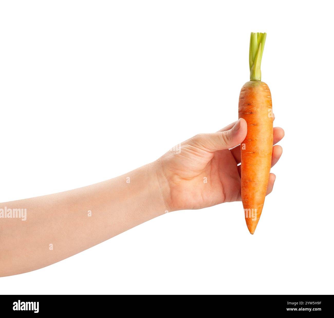 carrot in hand path isolated on white Stock Photo - Alamy