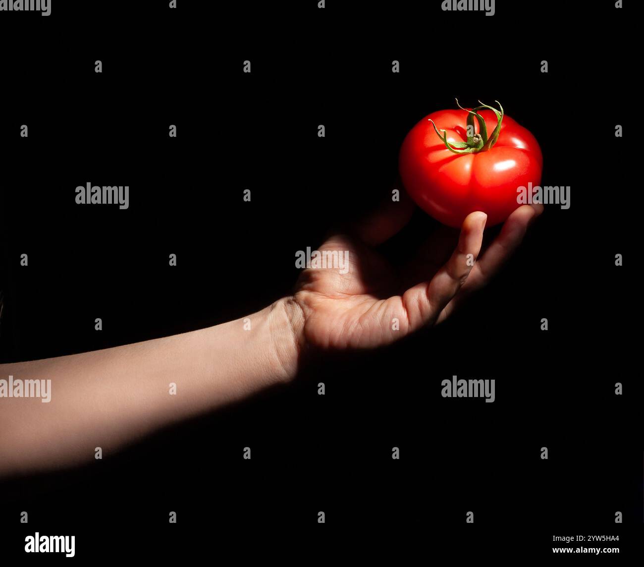 Hand with tomatoes hi-res stock photography and images - Alamy