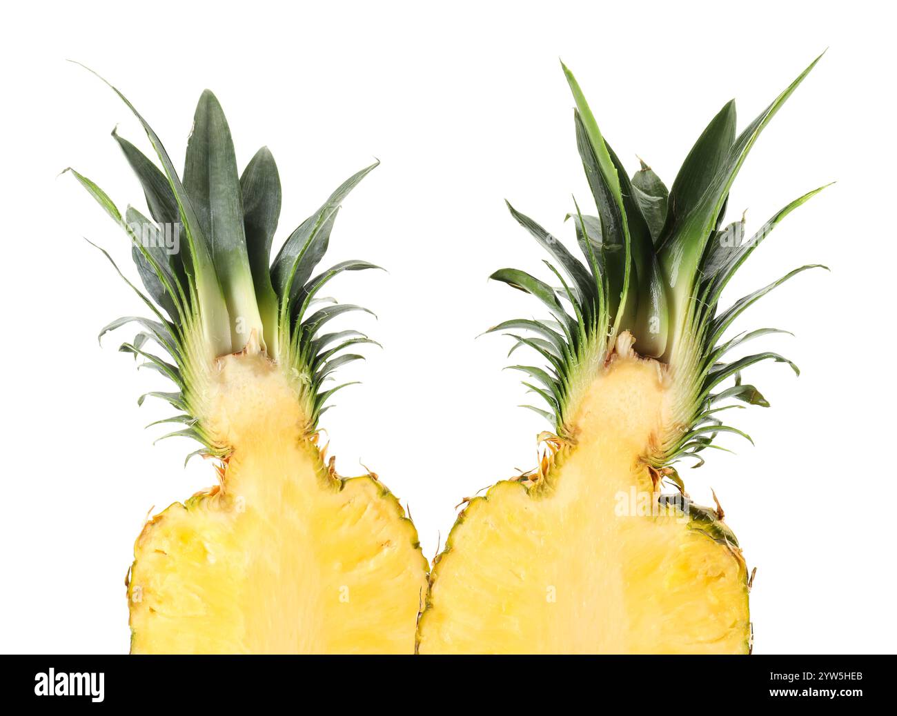 Halves fresh pineapple on hi-res stock photography and images - Alamy