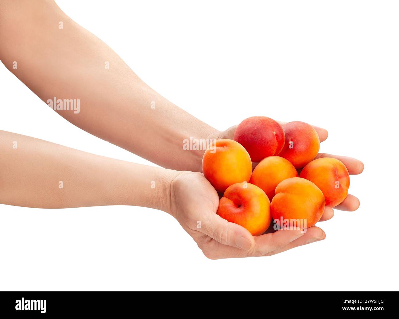Apricots heap hi-res stock photography and images - Alamy