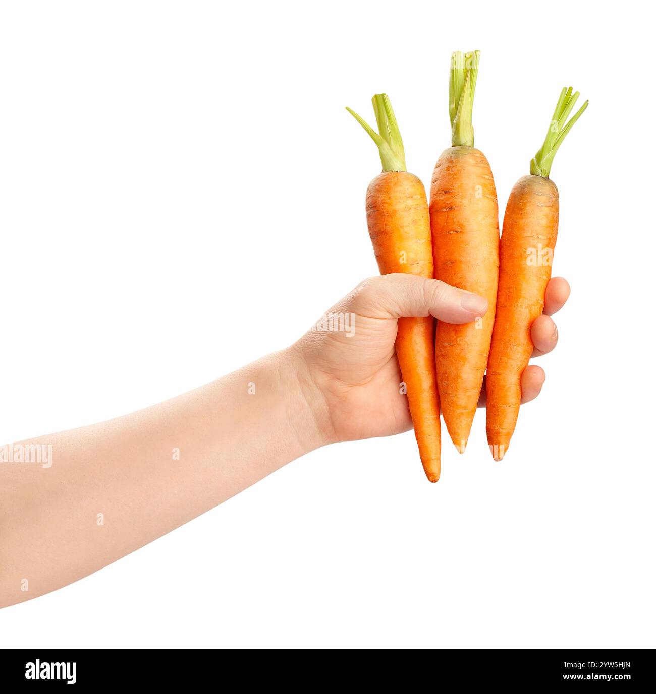 Hand holding carrots hi-res stock photography and images - Alamy