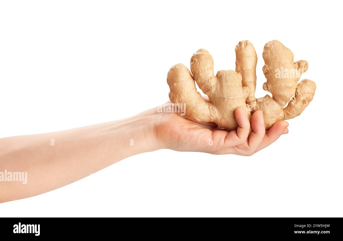 Fresh root ginger in Cut Out Stock Images & Pictures - Alamy