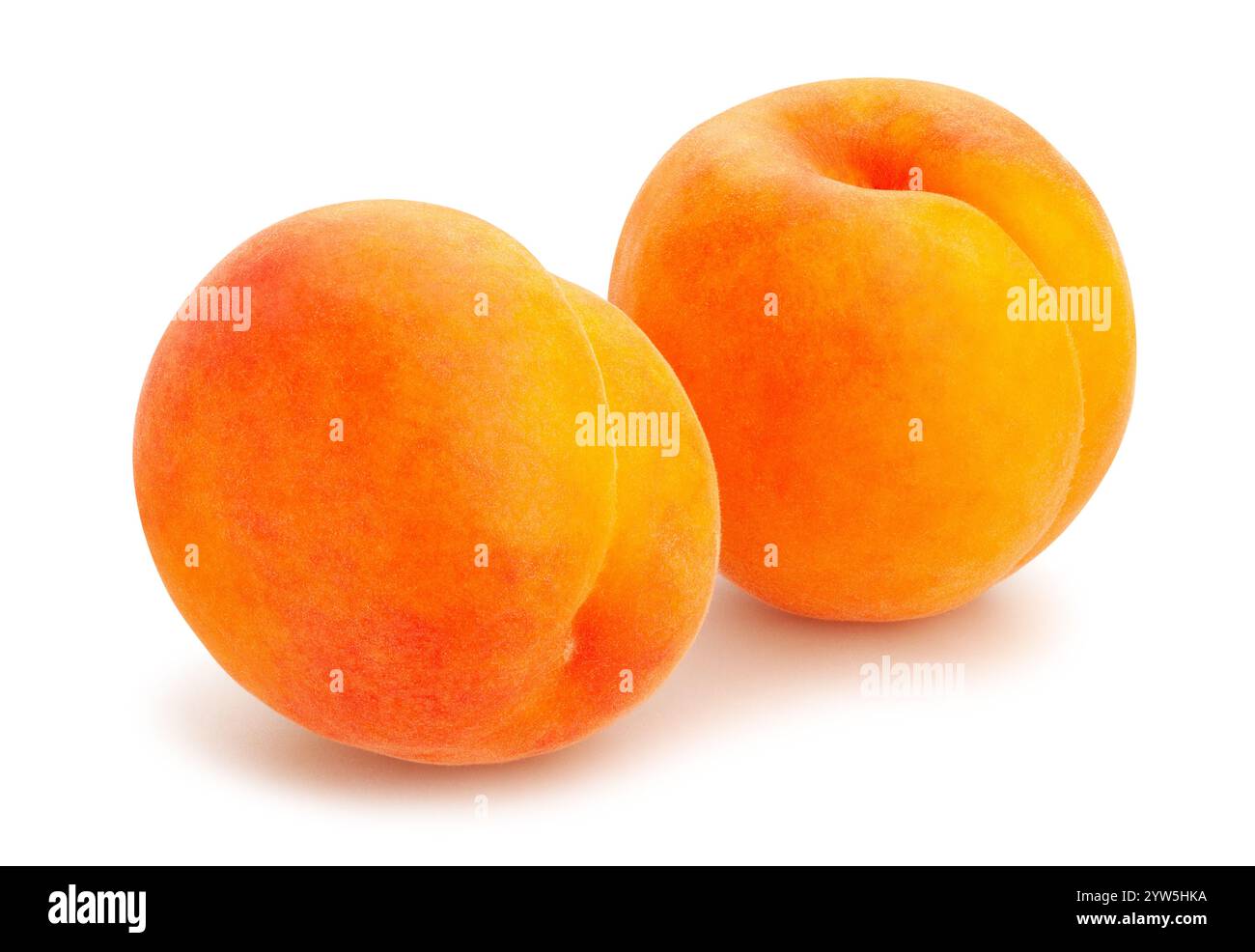 Fresh tasty apricots on hi-res stock photography and images - Alamy