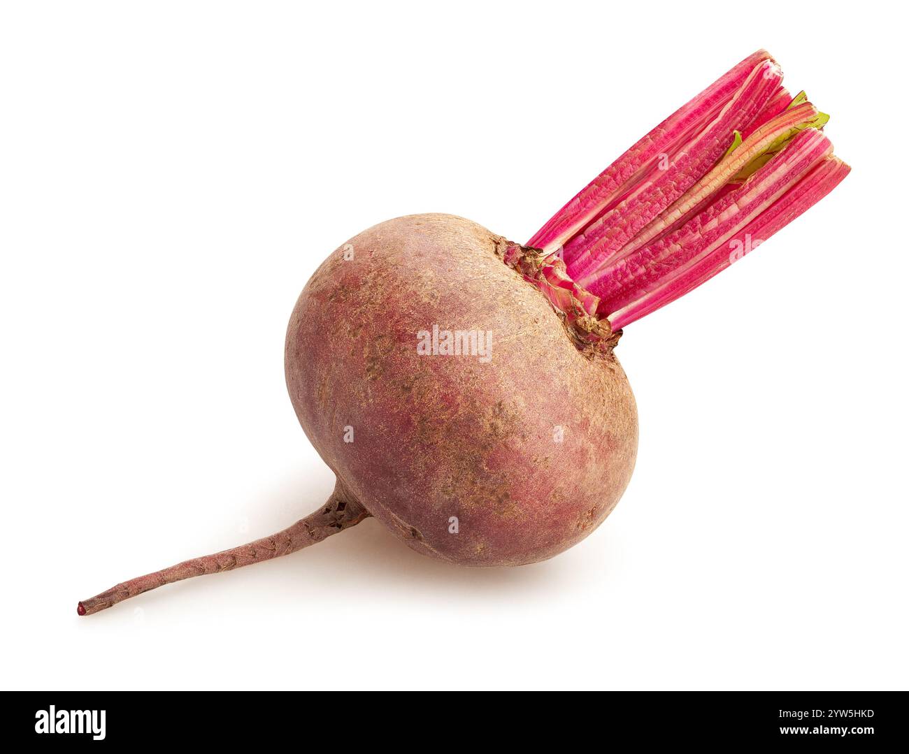 White beet hi-res stock photography and images - Alamy