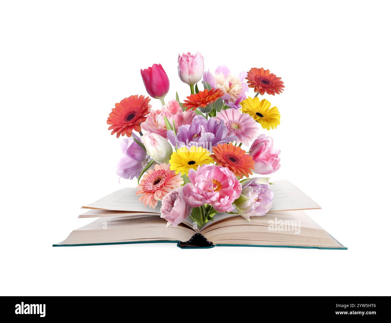 Open book with beautiful flowers between pages on white background ...