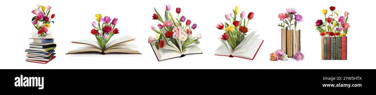 Summer books poster Cut Out Stock Images & Pictures - Alamy