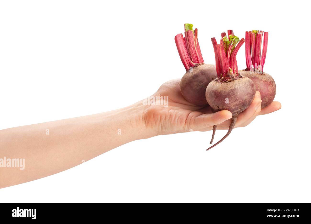beets in hand path isolated on white Stock Photo - Alamy
