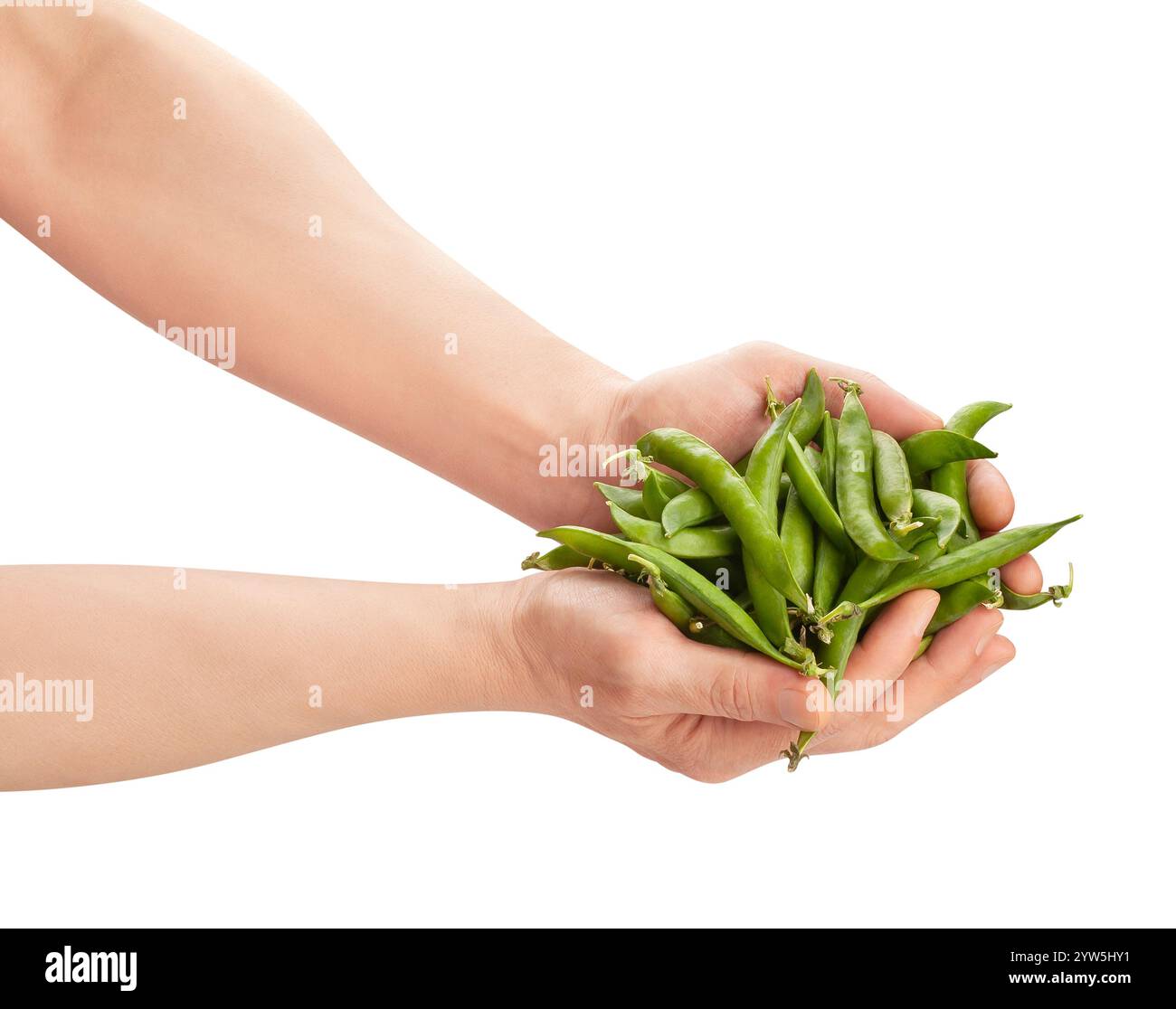 green peas in hand path isolated on white Stock Photo - Alamy