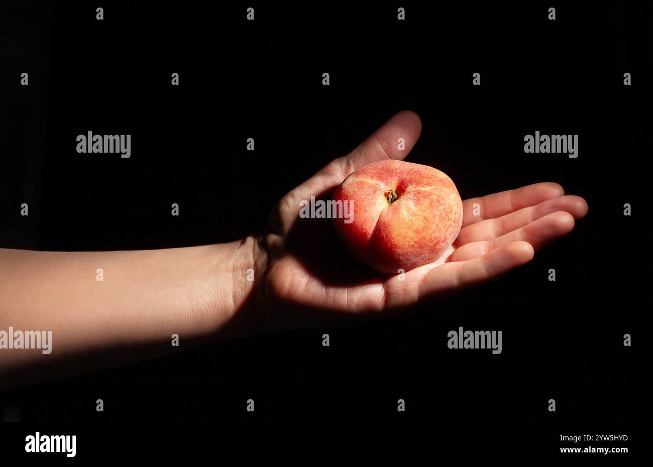 Hand holding fresh peach hi-res stock photography and images - Alamy