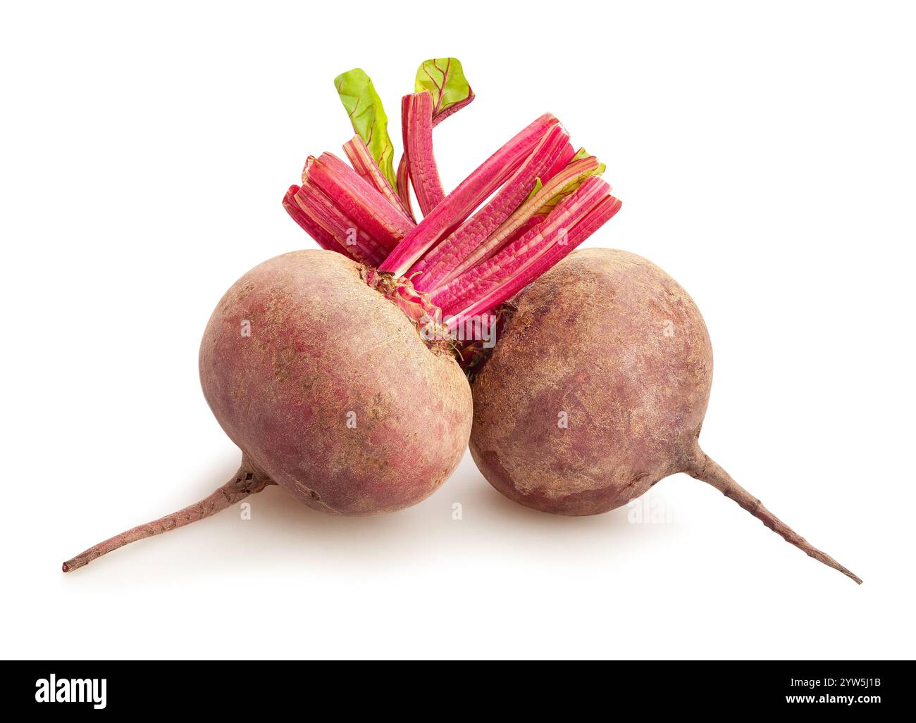 beets path isolated on white Stock Photo - Alamy