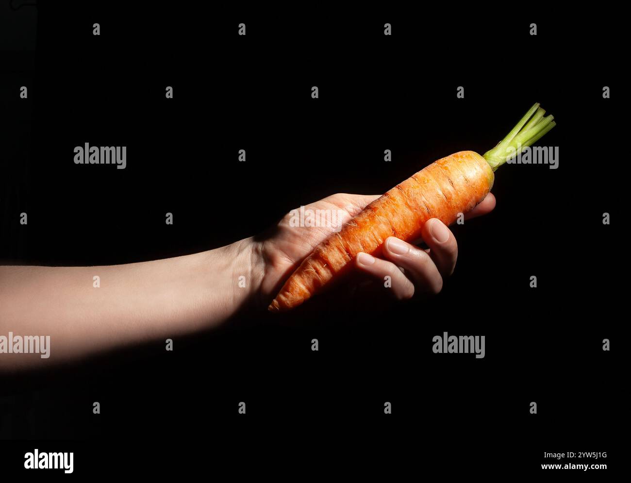 Carrot on the hand hi-res stock photography and images - Alamy