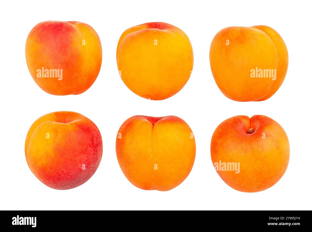 Fresh tasty apricots on hi-res stock photography and images - Alamy