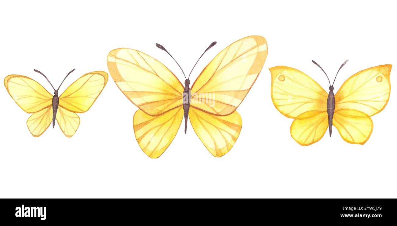 A set of spring yellow butterflies. Watercolor illustrations Stock ...