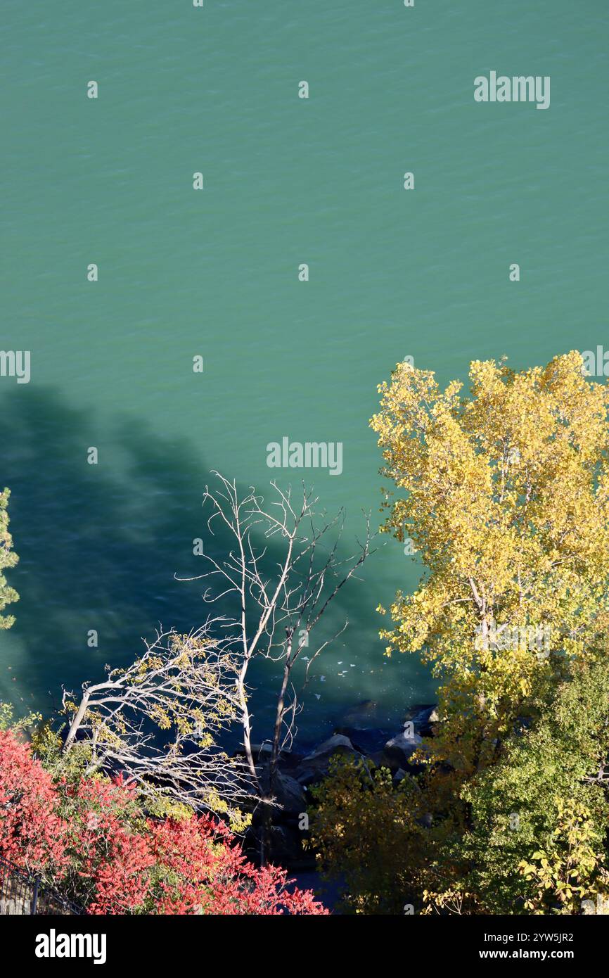 Aerial view of trees on the shoreline of Lake Erie, Ohio Stock Photo ...