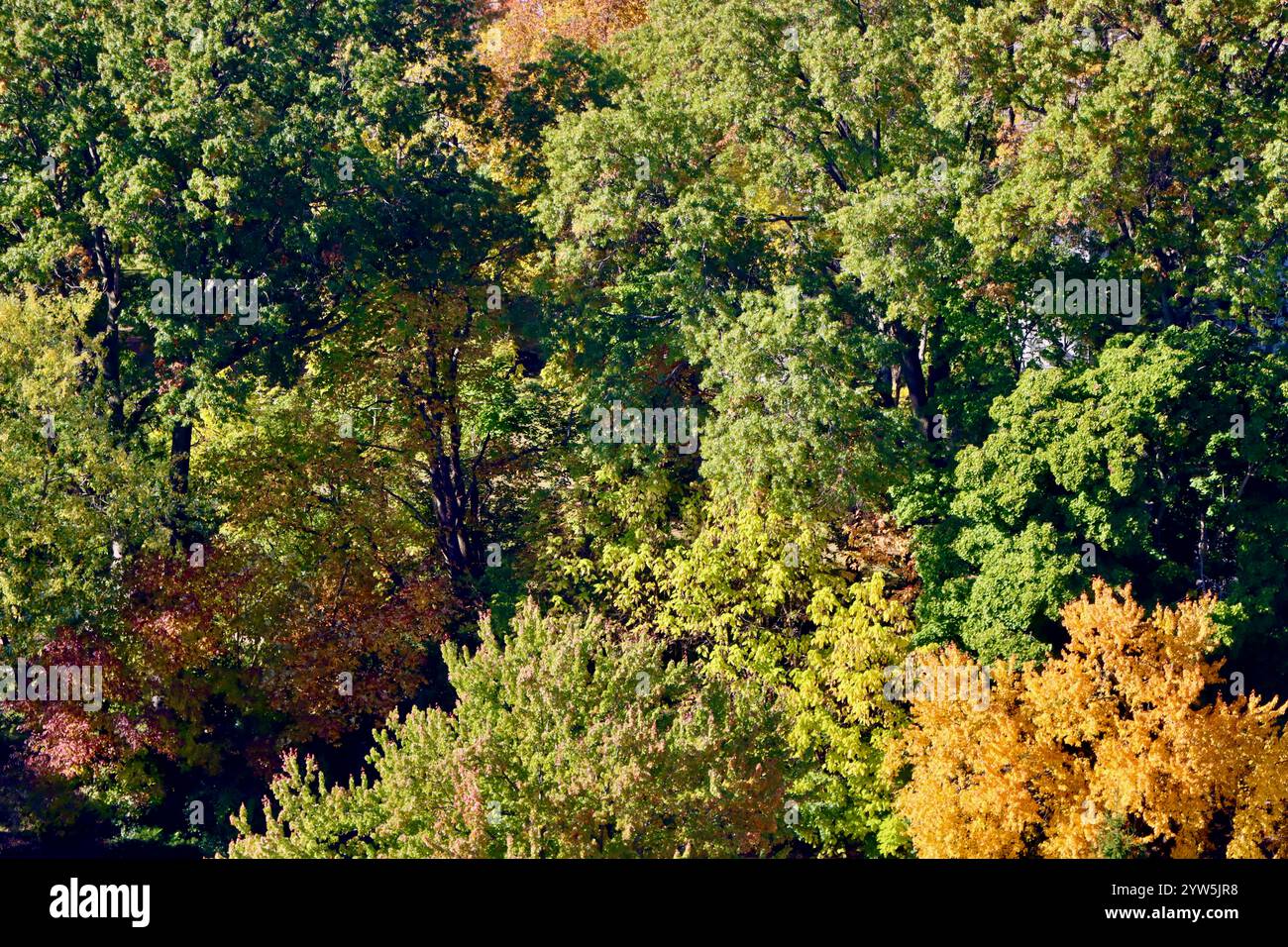 Downtown cleveland autumn colors hi-res stock photography and images ...