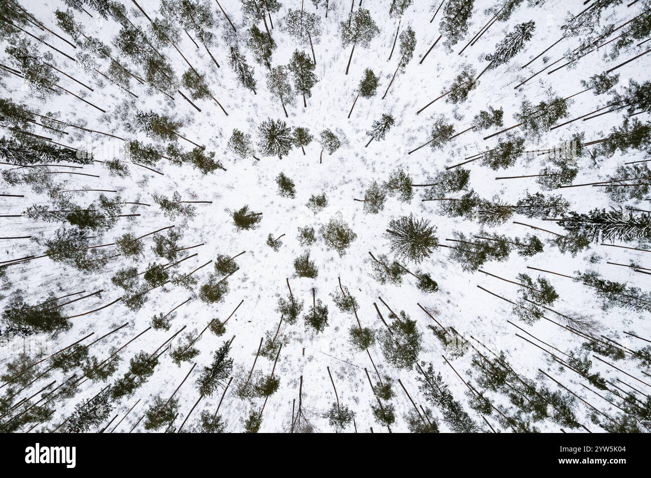 Winter in siberia drone flight hi-res stock photography and images - Alamy