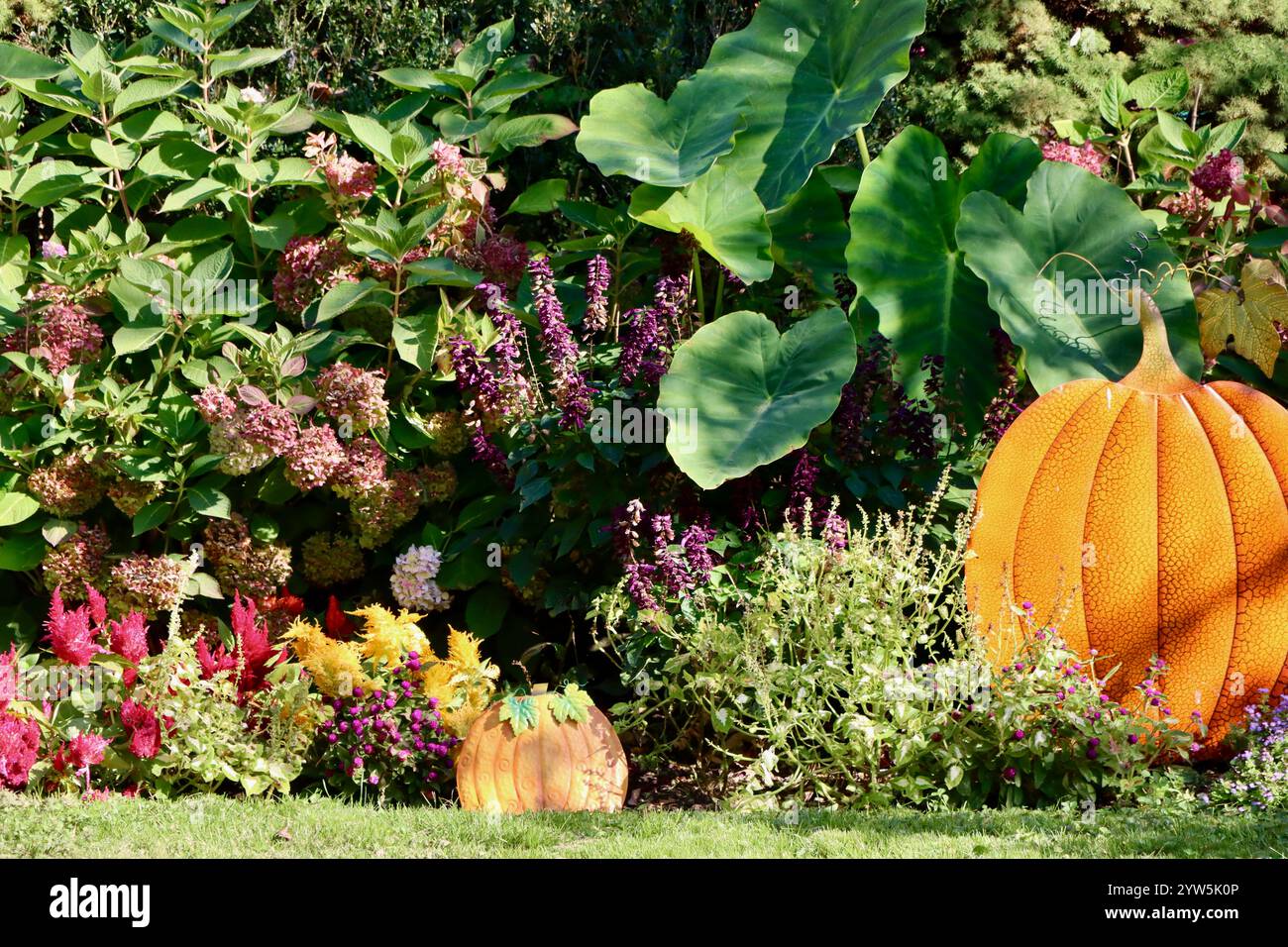 Fall colors in Lakewood, Ohio, west of downtown Cleveland, 2024 Stock ...