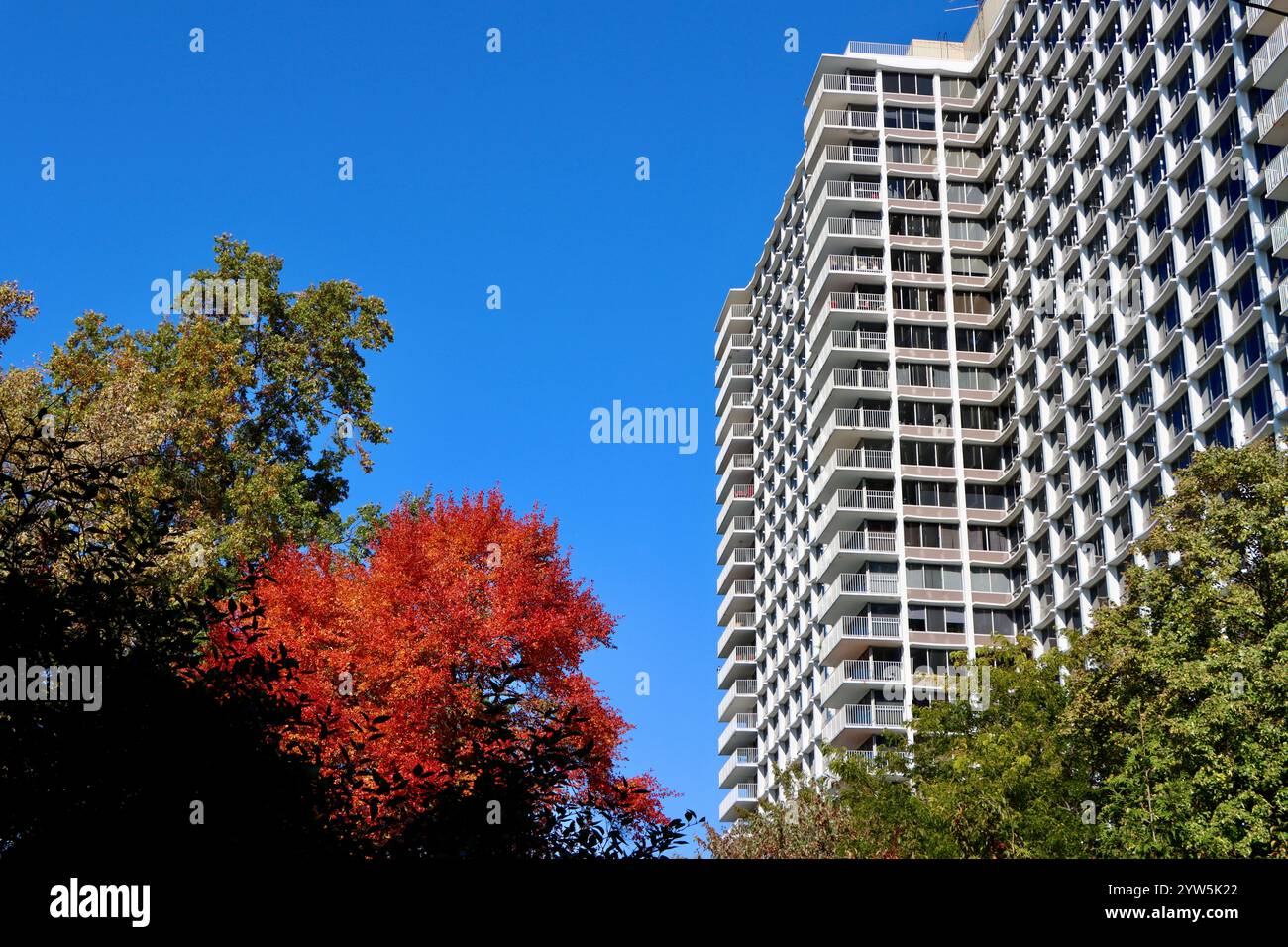 Winton Place condominium building surrounded by trees in fall colors in ...