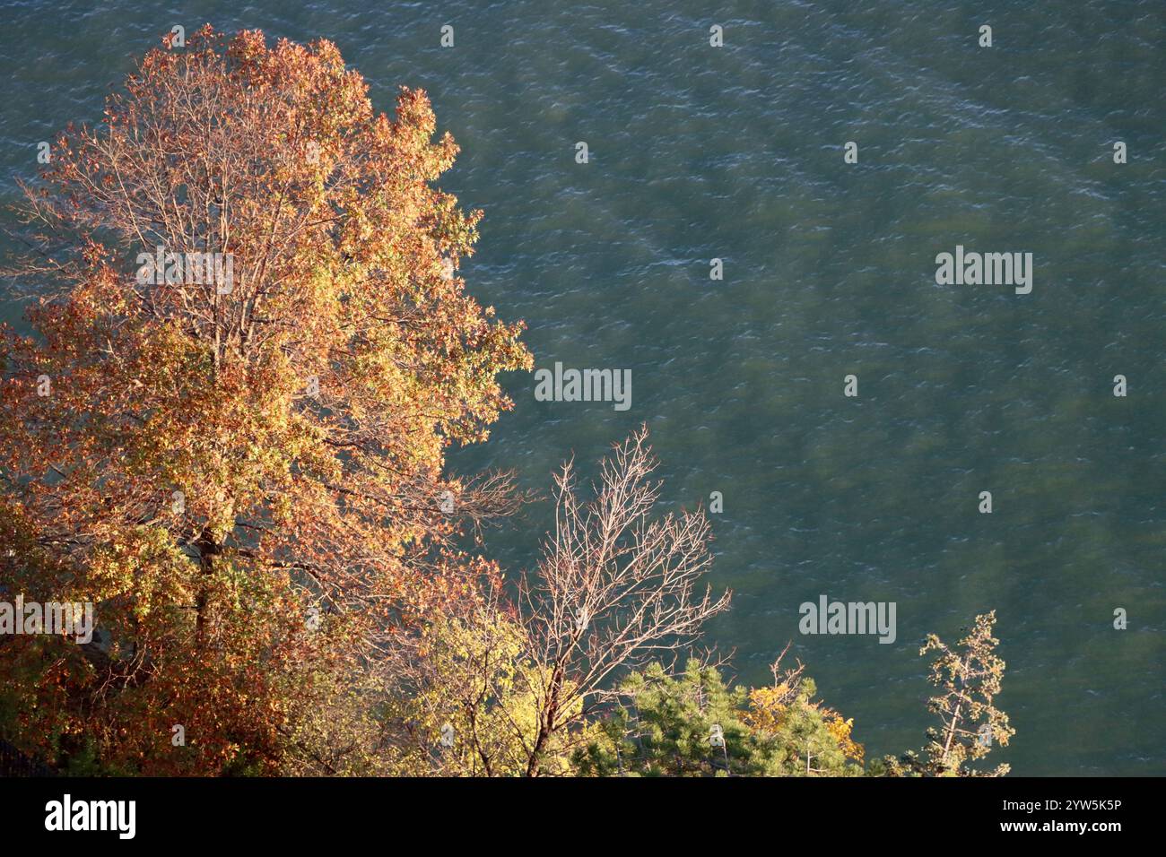 Fall colors in Lakewood, Ohio, west of downtown Cleveland, 2024 Stock ...